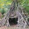 Online Courses in Forest School Activities and Outdoor Learning