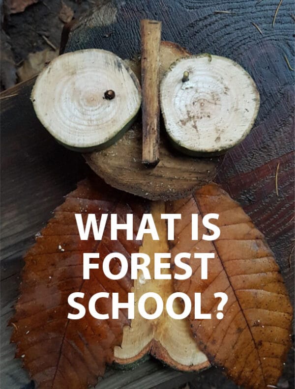 What is Forest School? - The Outdoor Teacher Ltd