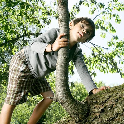 Forest School Risk Benefit Assessment | The Outdoor Teacher Blog