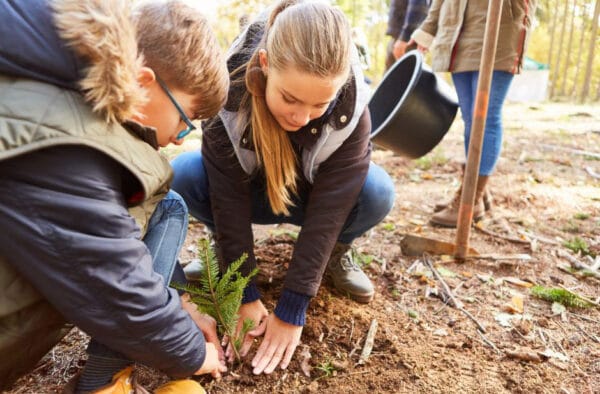 Outdoor Learning Case Study | The Outdoor Teacher