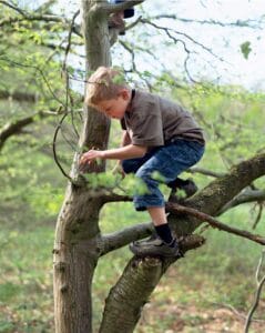 Forest School Risk Benefit Assessment | The Outdoor Teacher Blog